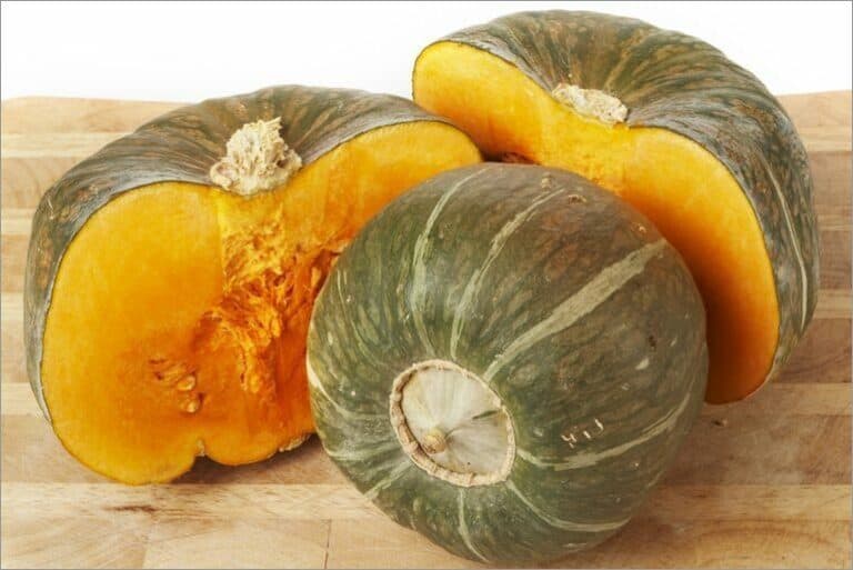 TOP 16 Different Types of Squash: Varieties with Pictures