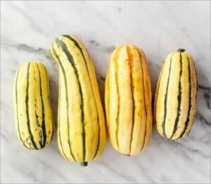 TOP 16 Different Types of Squash: Varieties with Pictures