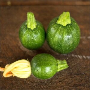TOP 16 Different Types of Squash: Varieties with Pictures