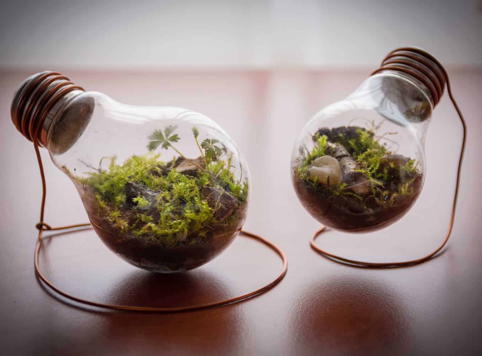 Mindful Consumption: A 6-Step Guide To Consuming Better