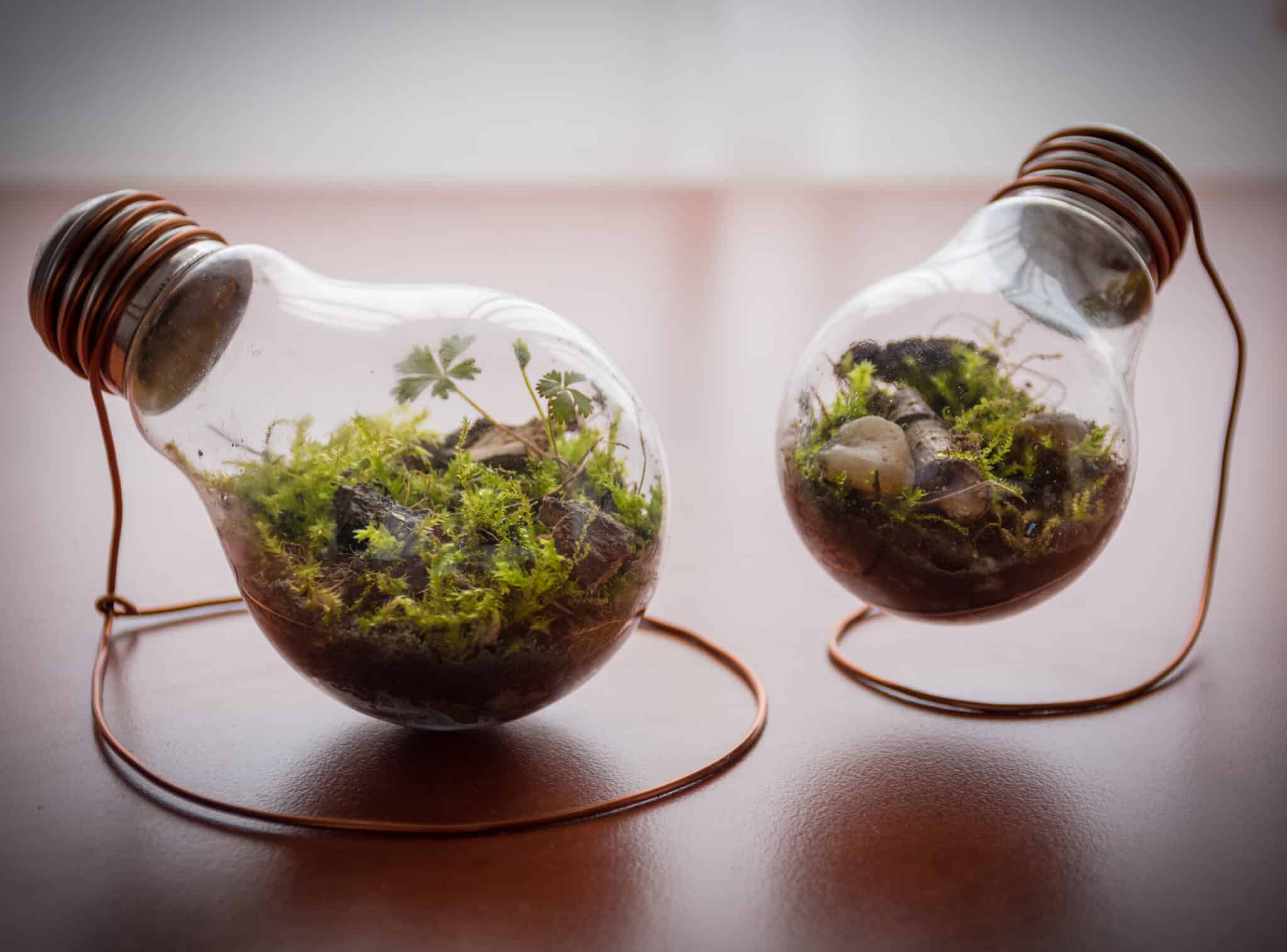 Top 11 Vegan Restaurants in Houston, Texas (2025 RANKING)