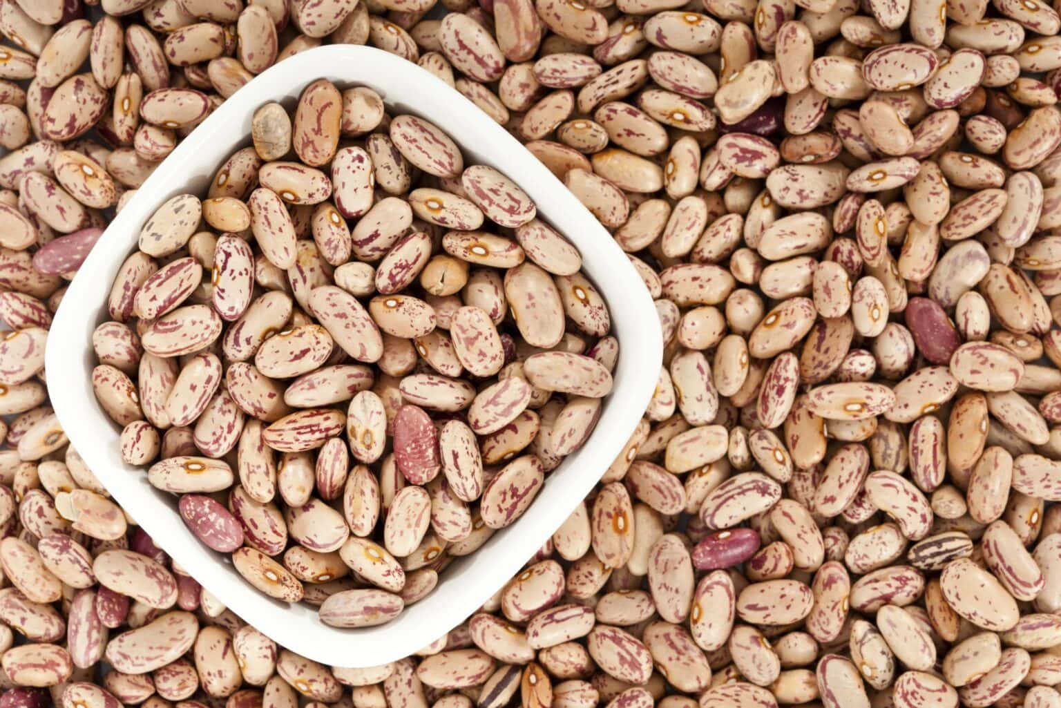 Black Beans vs Pinto Beans: How to Choose the Healthier?