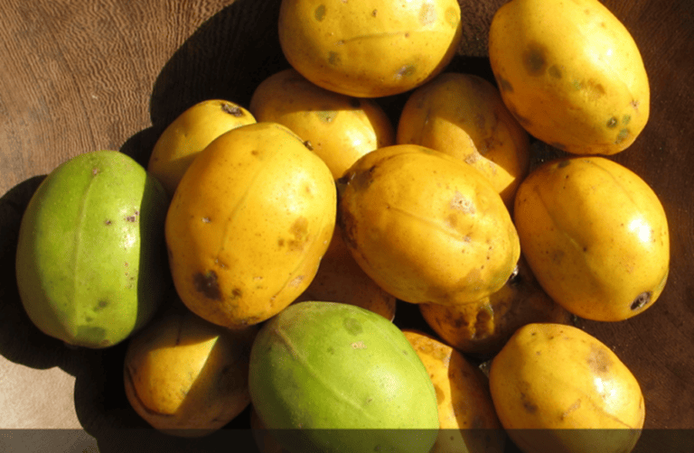 The 15 Fruits That Start With U (With Pictures)