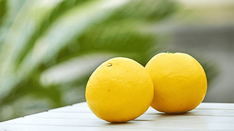The 21 Fruits That Start With H (Check Photos)