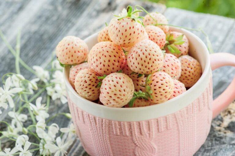 The 20 Fruits That Start With P (with pictures)