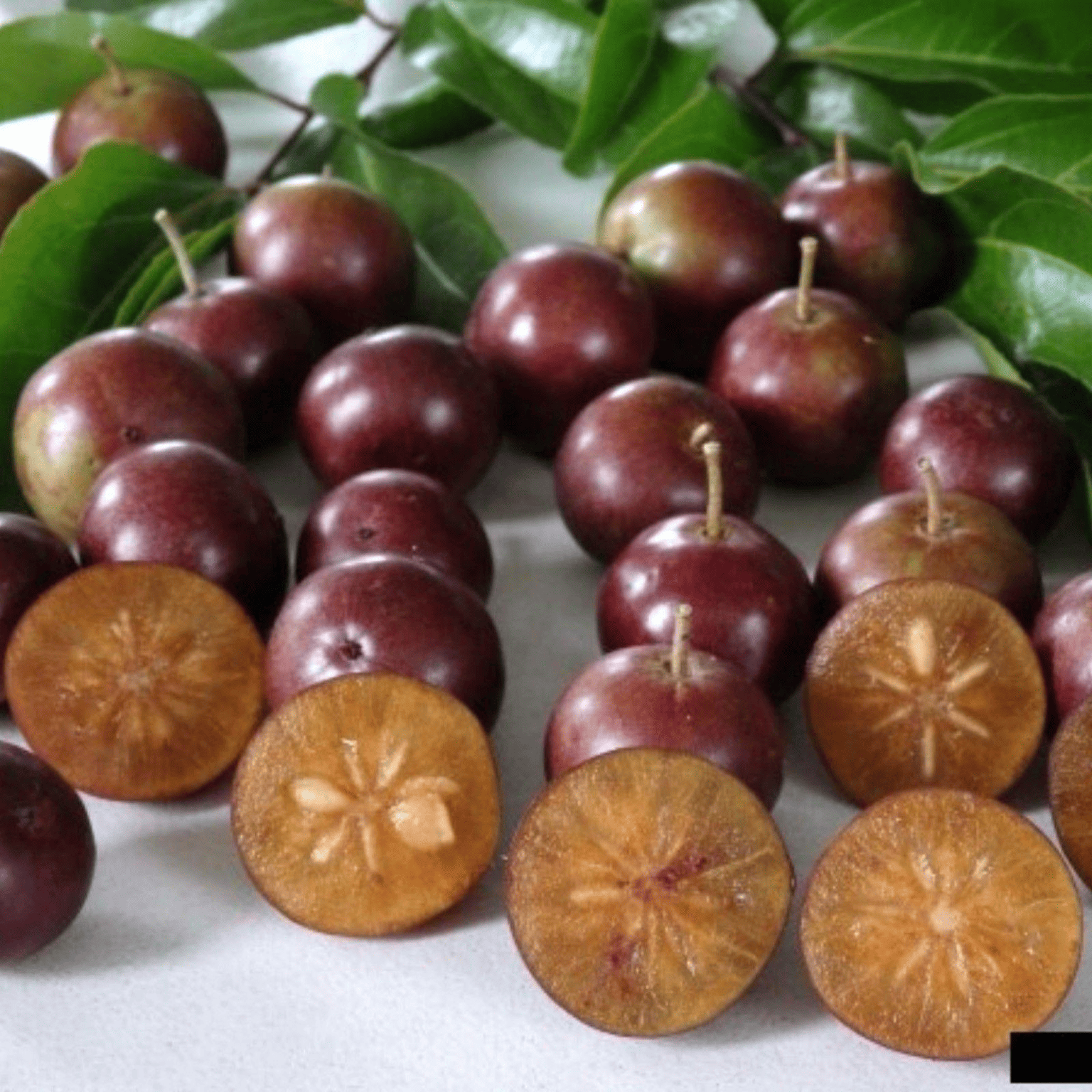 25 Fruits That Start With R (Photos & Nutritional Details)