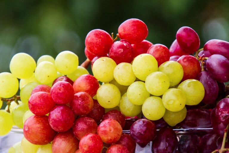 15 Fruits That Start With G (Photos & Interesting Facts)