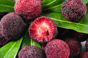 19 Fruits That Start With Y (With Photos & Interesting Facts)
