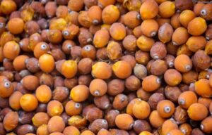 15 Fruits That Start With Q (Photos, Nutrition & Benefits)