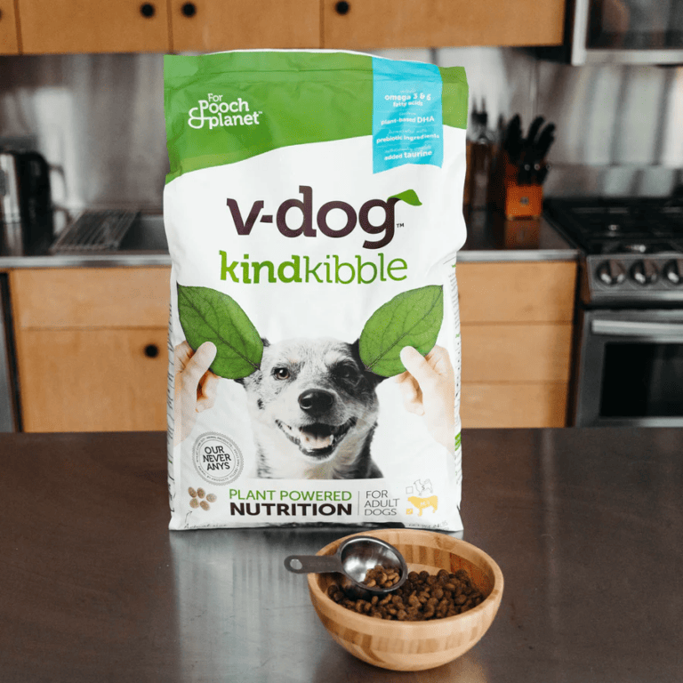 10 Best Vegan Dog Food Brands that Your Dog Will Love